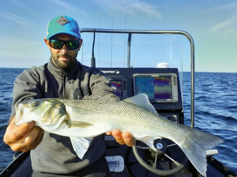 Bar en bateau : 5 montages efficaces pour l'été - Peche et Poissons ...
