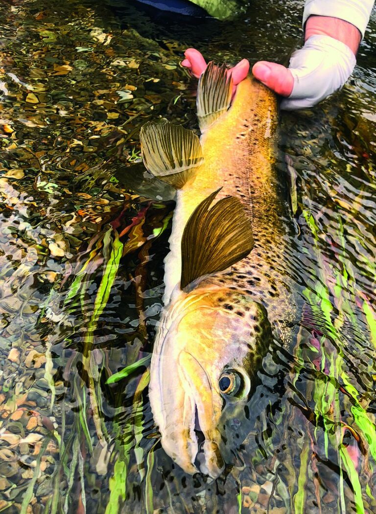 Tout savoir sur la pêche à la nymphe au fil - Peche et Poissons ...