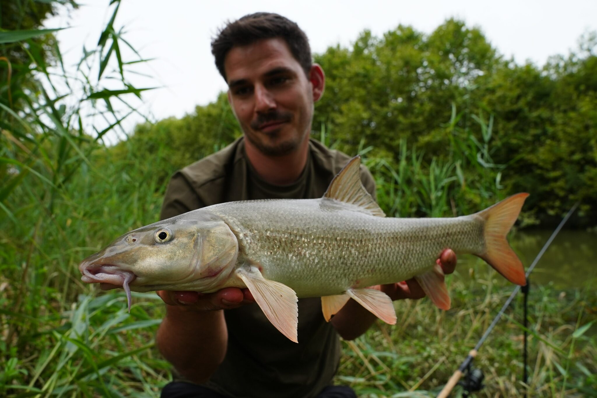 Amorces : connaître les bases du commerce - Peche et Poissons | Carnassiers, carpe, truite, mer ...