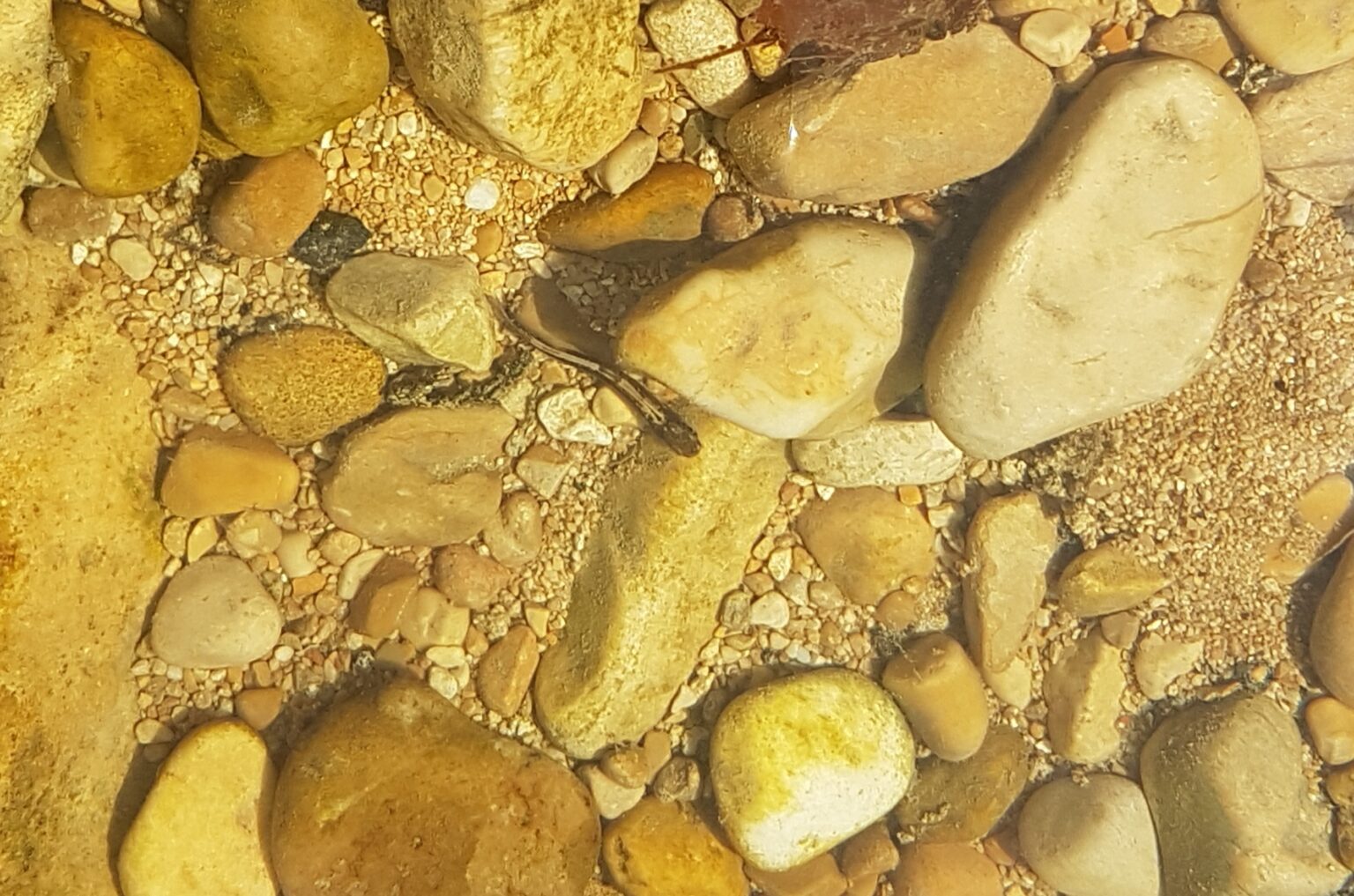 Tout savoir sur la pêche à la nymphe au fil - Peche et Poissons ...